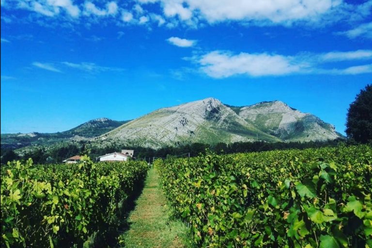 Insieme a Passo con la Cultura arriva a Galluccio per una visita ...